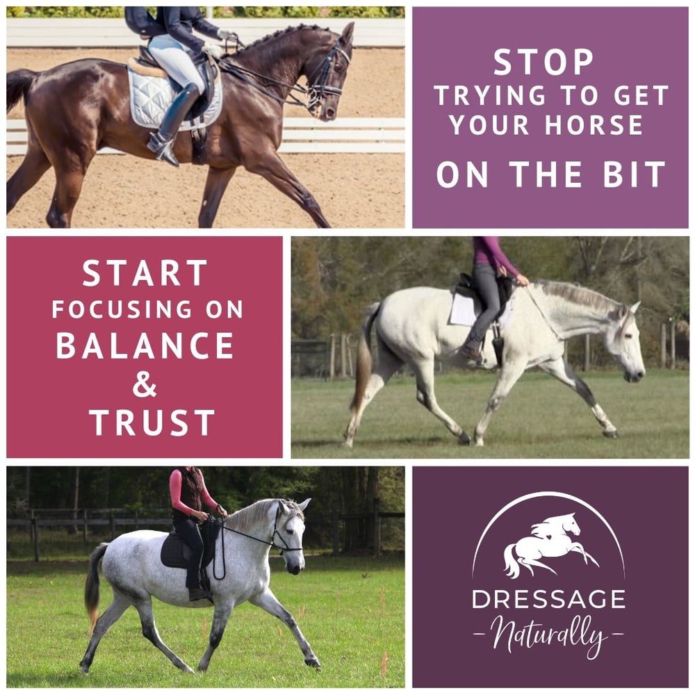 Stop Trying To Get Your Horse On The (Bleeping) Bit